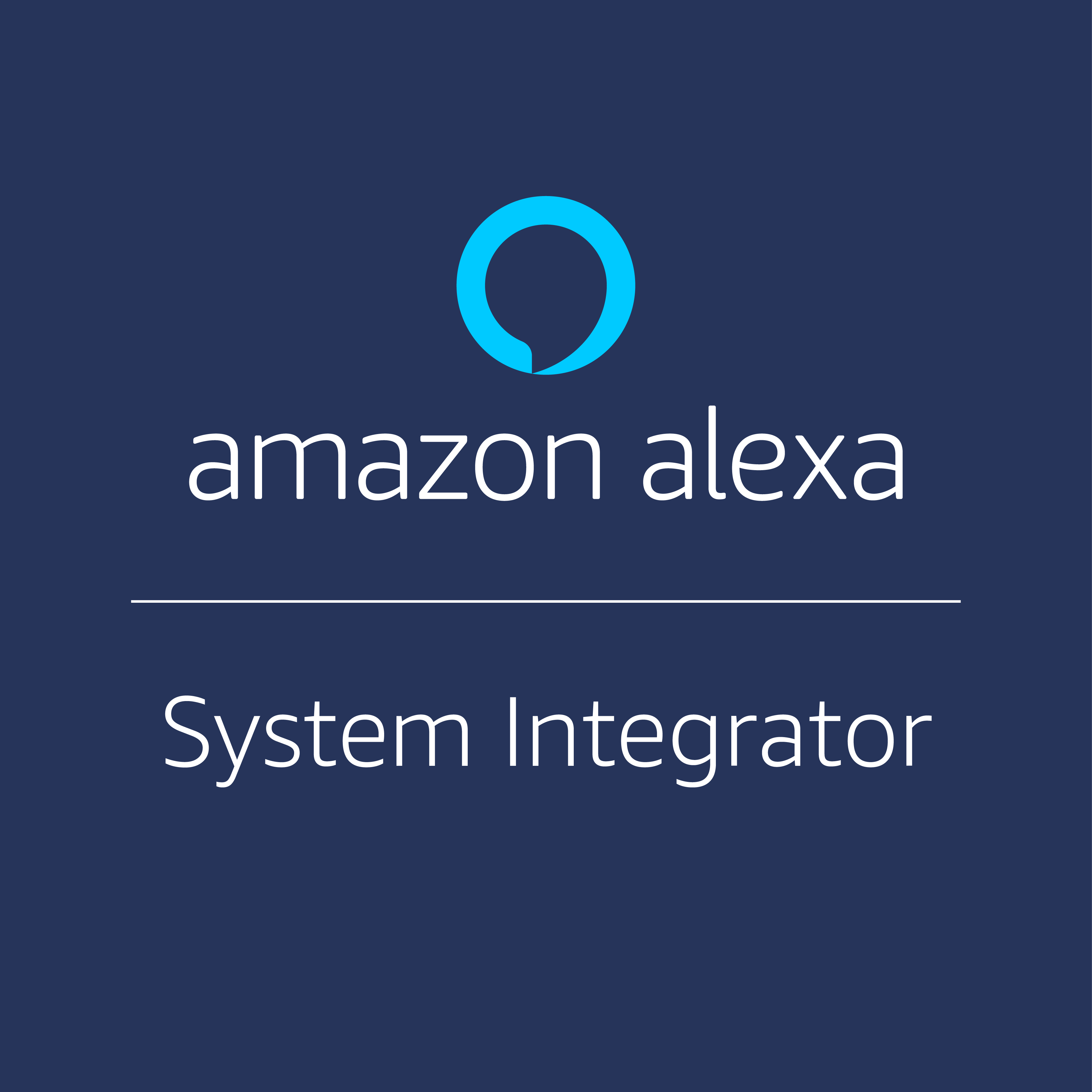 System Integrator | ICON.AI